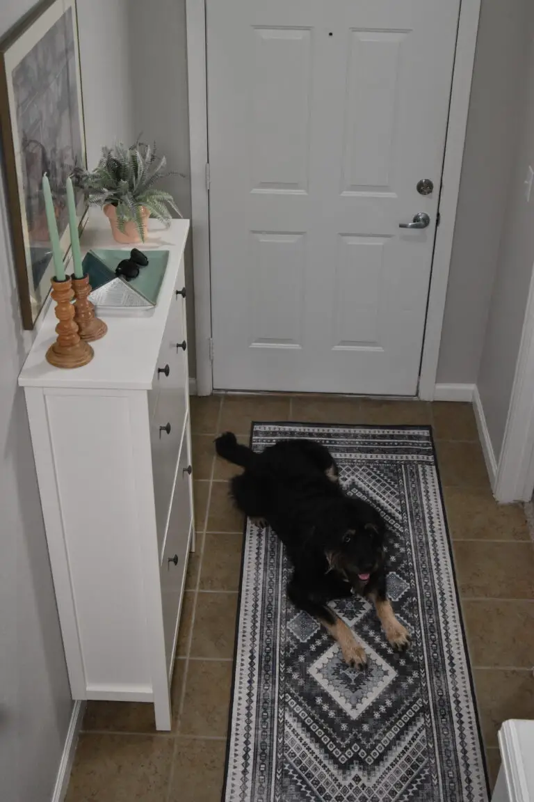 RVSN x Ruggable - RAVASHEEN